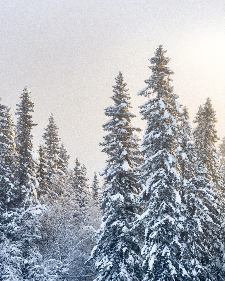Pressmeddelande - Västflyg lanserar ny flyglinje till Sälen Trysil ...